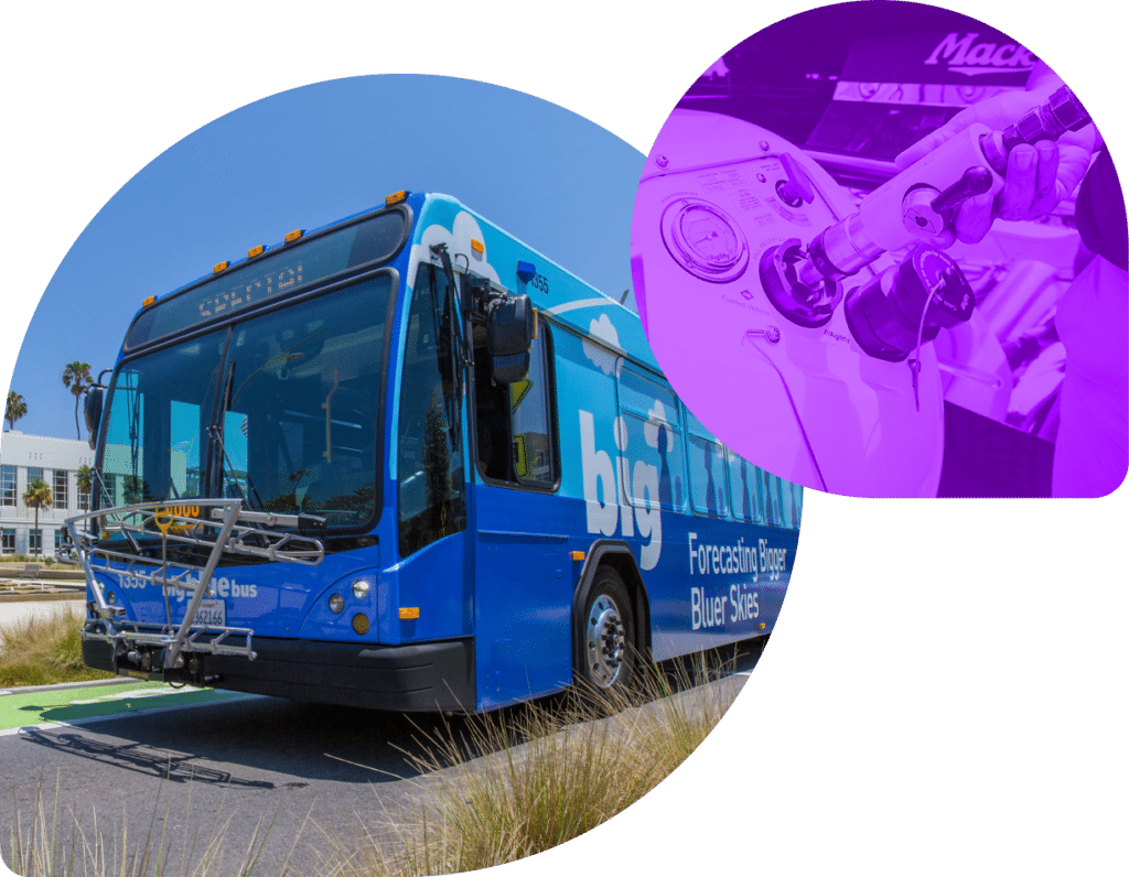 Transit – The Transport Project