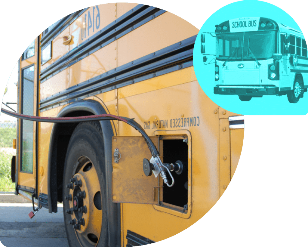 Schools – The Transport Project